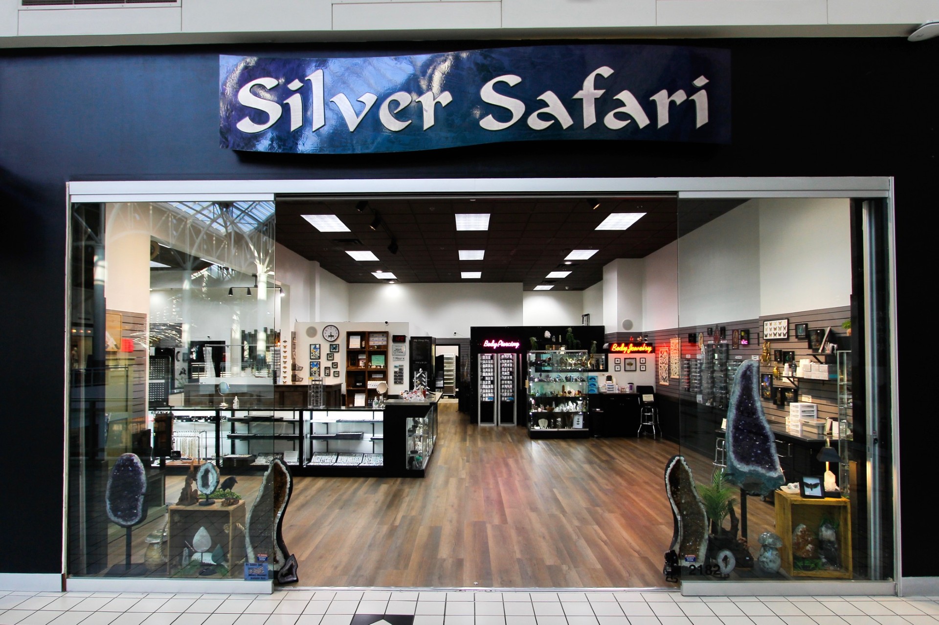 Silver Safari